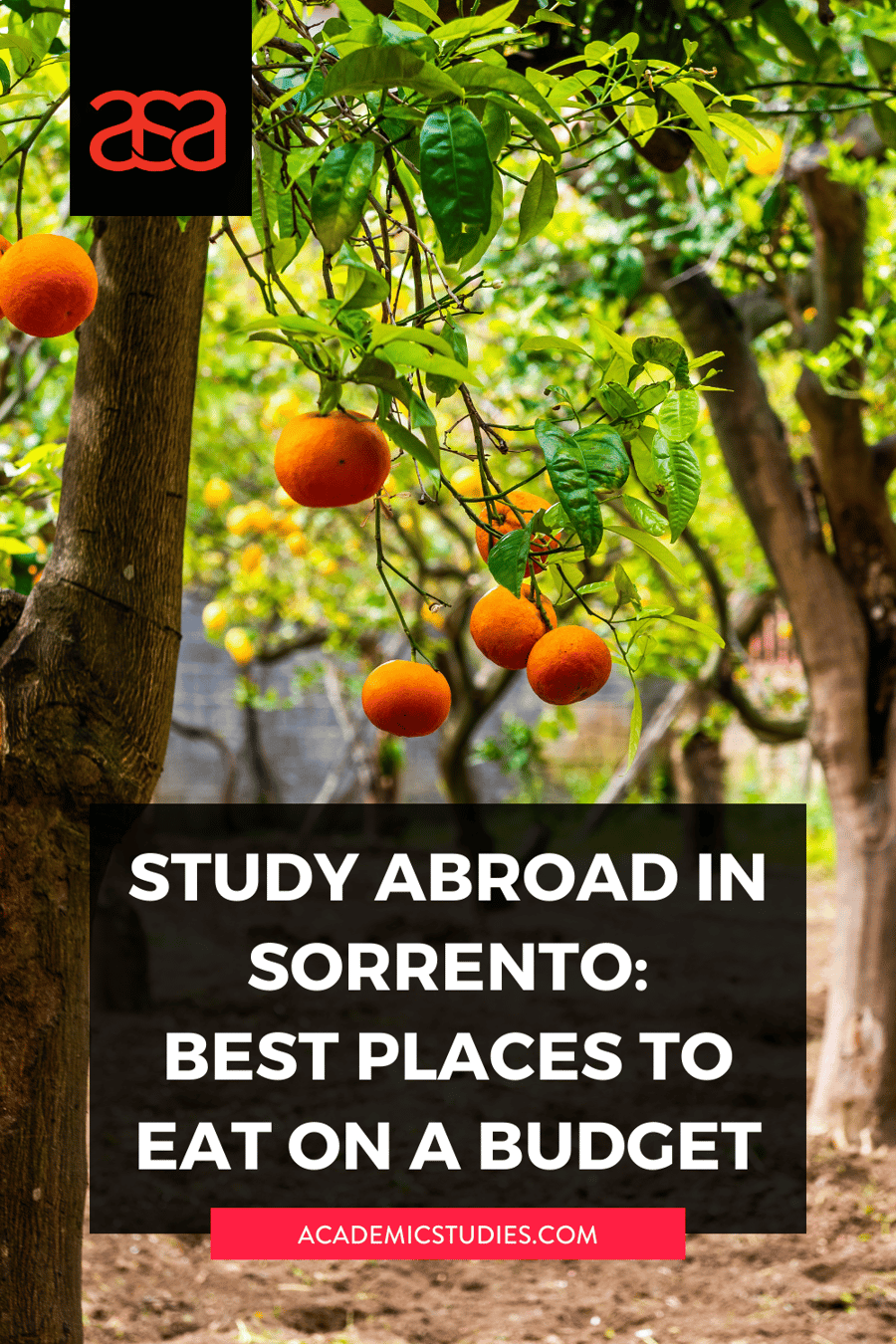 Academic Studies Abroad